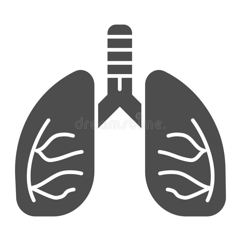 Lungs Organ Line and Solid Icon. Healthy Human Detailed Anatomy of ...