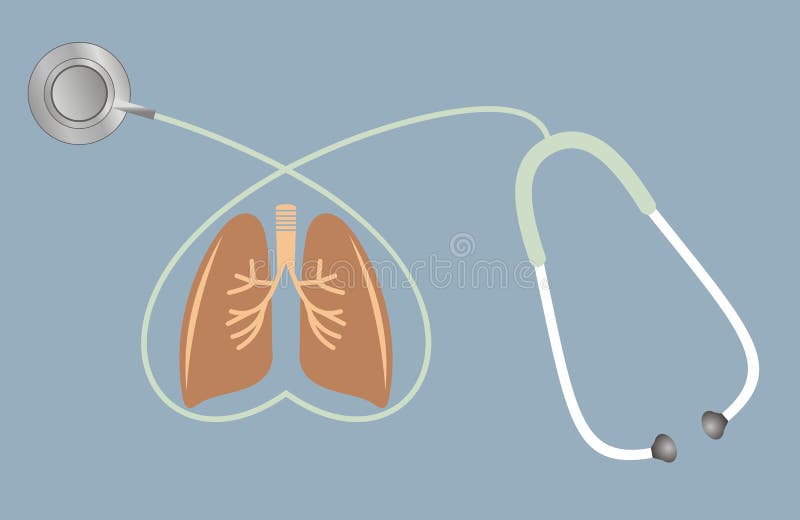 Lungs And Stethoscope In Shape Of Heart Lungs Healthcare Concept Flat
