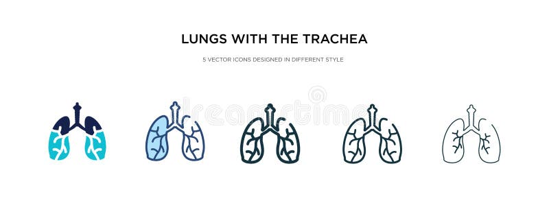 Lungs with the Trachea Icon in Different Style Vector Illustration. Two ...