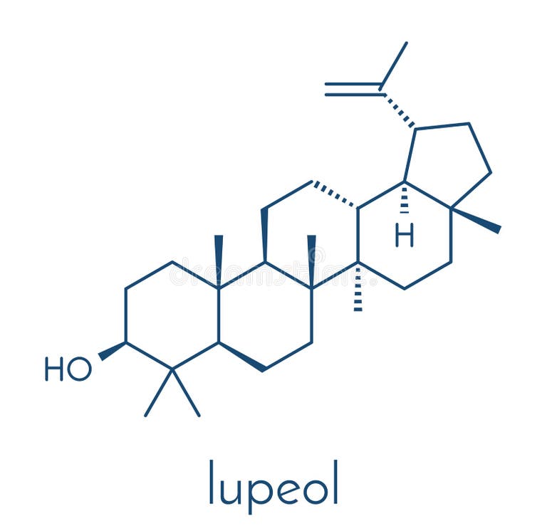 Lupeol Molecule. Skeletal Formula. Stock Vector - Illustration of ...