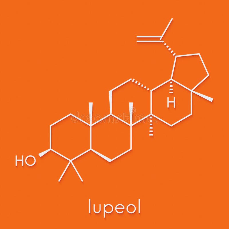 Lupeol Molecule. 3D Rendering. Atoms are Represented As Spheres with ...