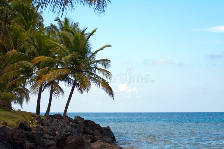 Luquillo Beach in Puerto Rico Stock Image - Image of relax, palm: 16100357