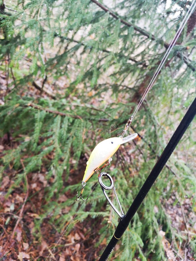 Snow Greatweather Fishingstyle Stream Trees Stock Photos - Free ...