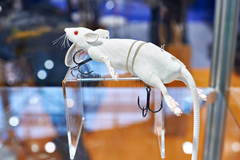 Lure for Fishing White Mouse Stock Image - Image of mustache, animal ...