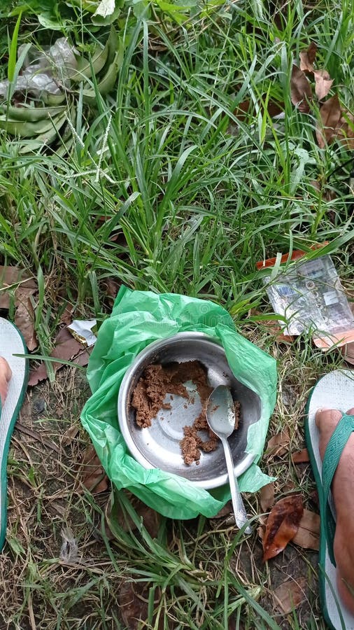 The Lure of a Super Powerful Freshwater Fish Editorial Stock Photo ...