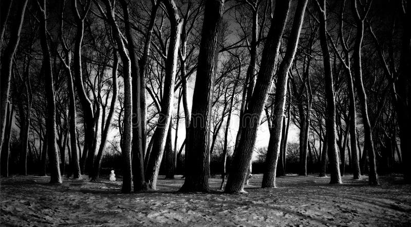 Surprise Lurks Stock Photos - Free & Royalty-Free Stock Photos from ...