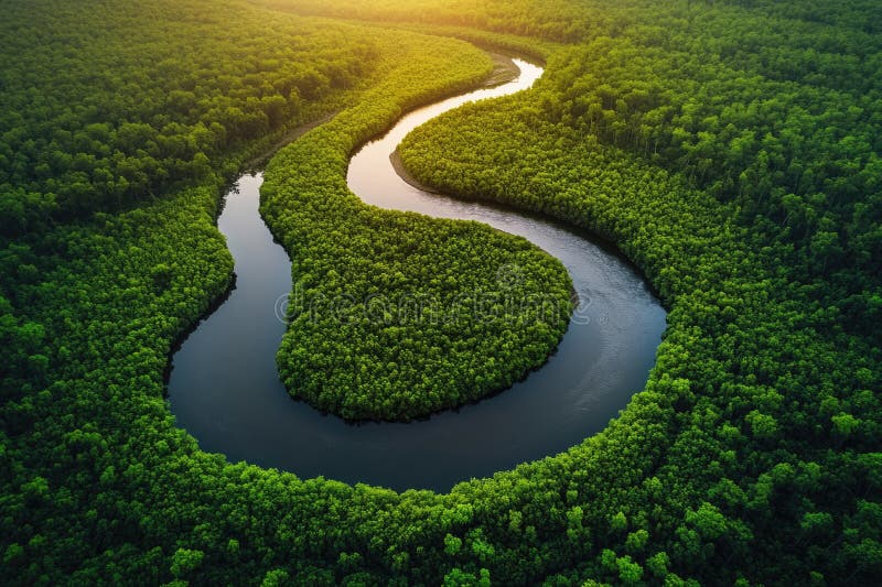 Lush Amazon Rainforest River Stock Photo - Image of perspective ...
