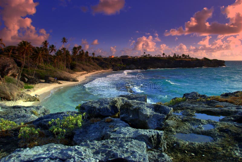 Lush beach stock image. Image of beach, green, tree, rocks - 7669429