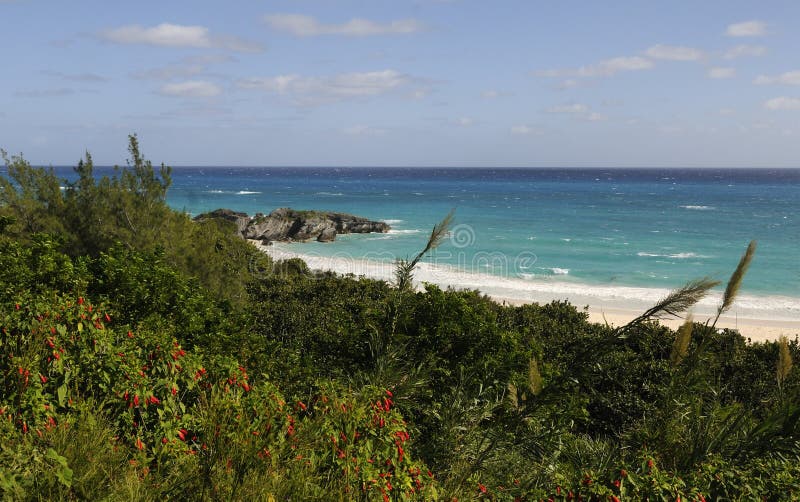 Lush Bermuda Shoreline stock image. Image of beach, paradise - 36054085