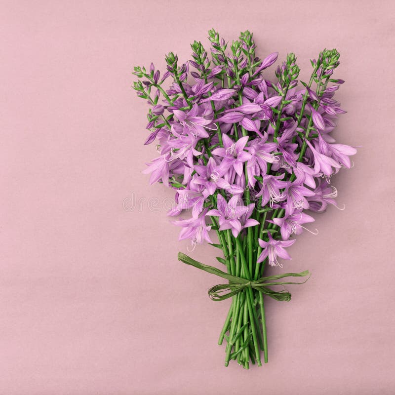 A Lush Bouquet of Delicate Purple Bells Stock Photo - Image of floral ...
