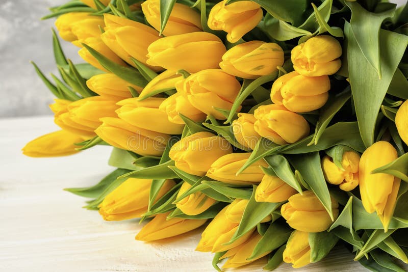 A Bouquet of Spring Flowers of Yellow Tulips Stock Photo - Image of ...