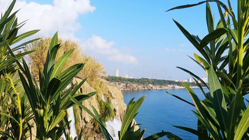 Lush Coastal Cliffs with Vibrant Foliage Overlooking Tranquil Ocean ...
