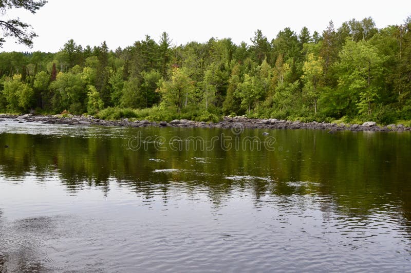 Lush Conifer Forest Reflecting on Mattawa River Stock Photo - Image of ...