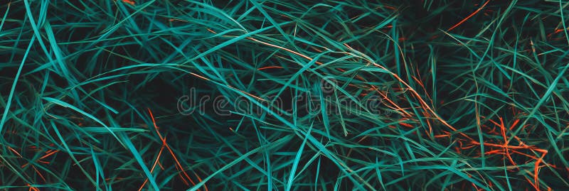 Lush Dark Green Tangled Grass with Intricate Textures and Deep Shadows ...