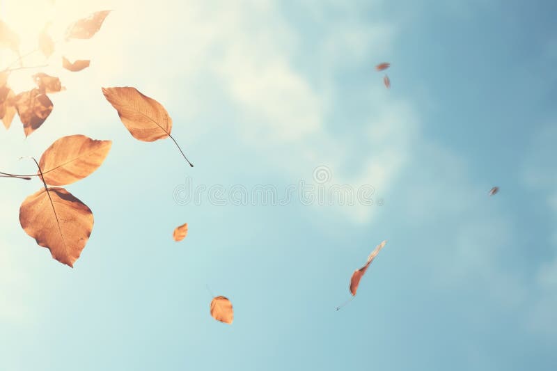 Lush Fall Backdrop with Vibrant Hues and Textures Stock Illustration ...