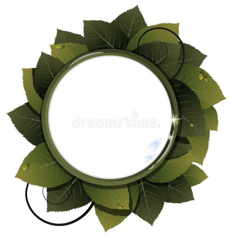 Green leaves round frame stock vector. Illustration of growth - 29896039