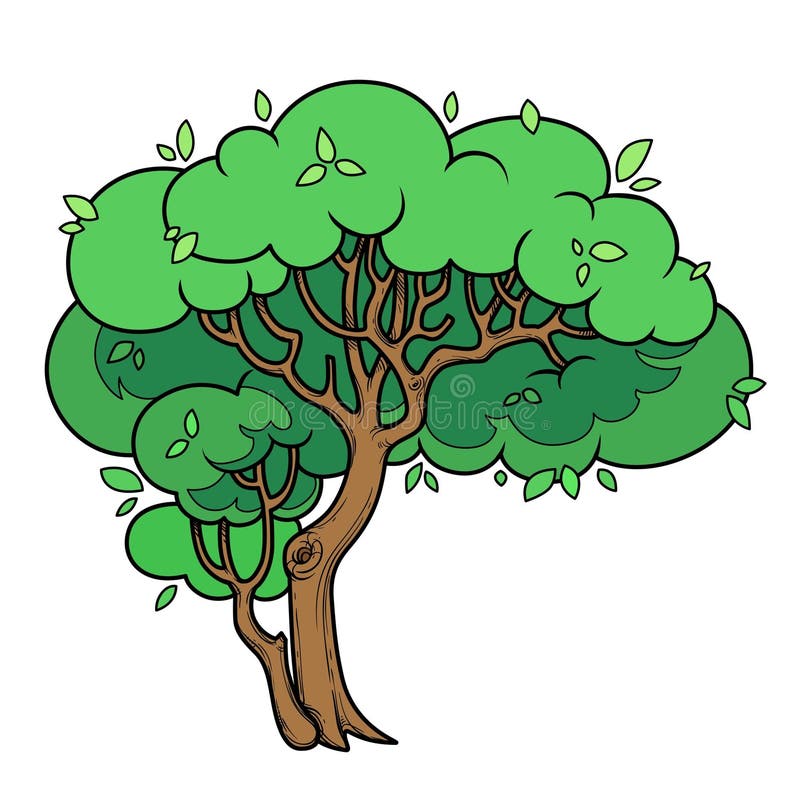 Lush Foliar Graceful Tree Color Variation Isolated on White Stock ...