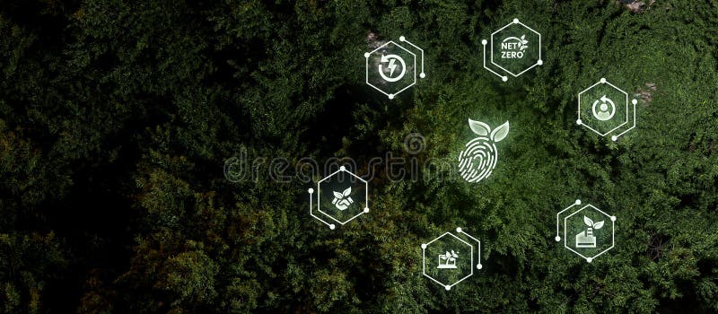 A Lush Forest As a Concept for the Impact of Human Activity on the ...