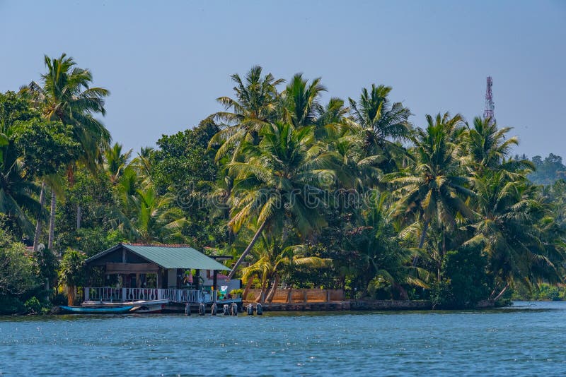 Lush Forests Surrounding the Koggala Lagoon in Sri Lanka Stock Image ...