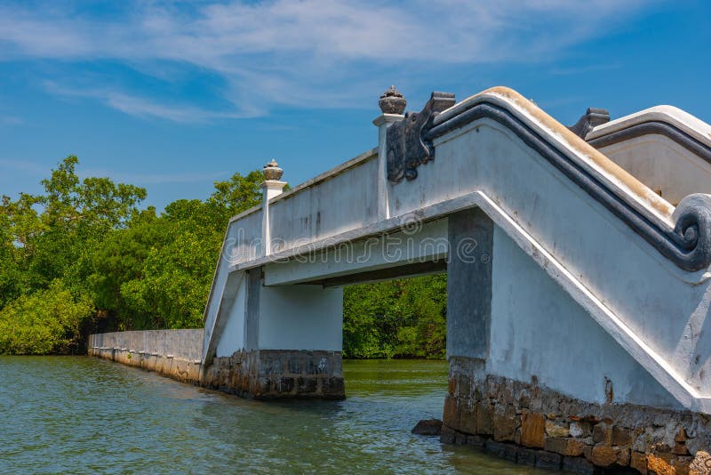 Lush Forests Surrounding the Koggala Lagoon in Sri Lanka Stock Photo ...