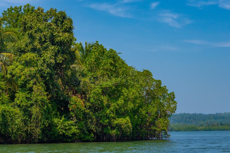 Lush Forests Surrounding the Koggala Lagoon in Sri Lanka Stock Photo ...