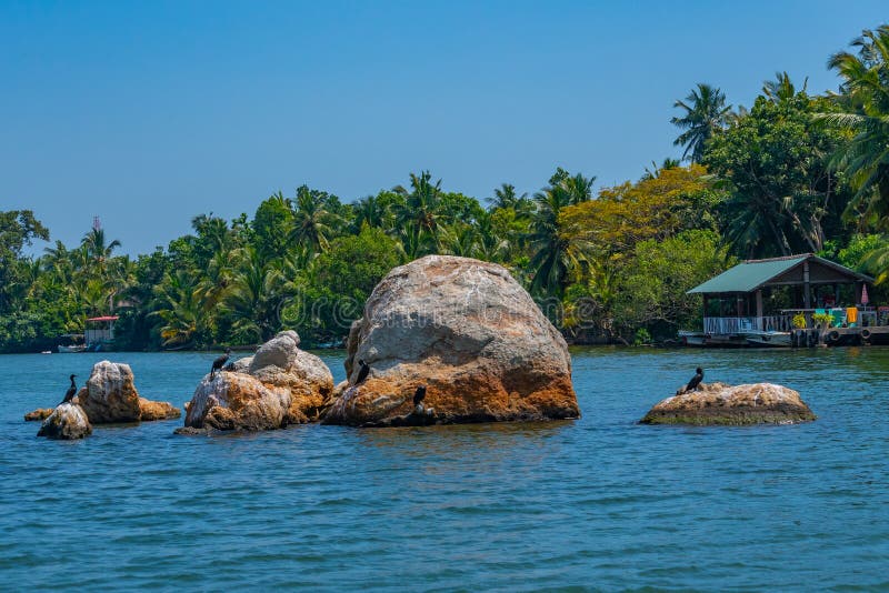 Lush Forests Surrounding the Koggala Lagoon in Sri Lanka Stock Photo ...