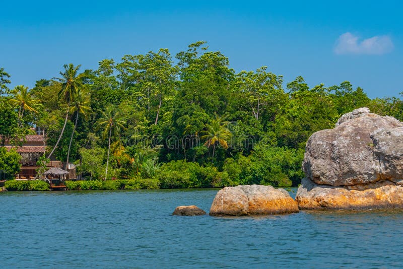 Lush Forests Surrounding the Koggala Lagoon in Sri Lanka Stock Image ...