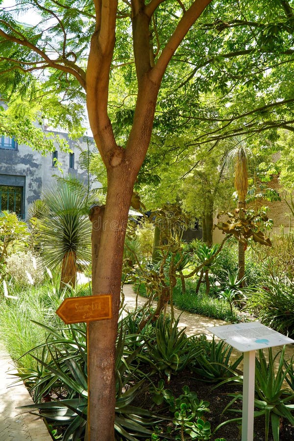 Lush Garden with Exit Sign on a Sunny Day. Stock Photo - Image of ...