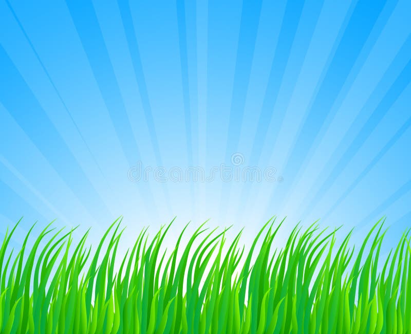 Grass. Vector Picture. Image: 14449411