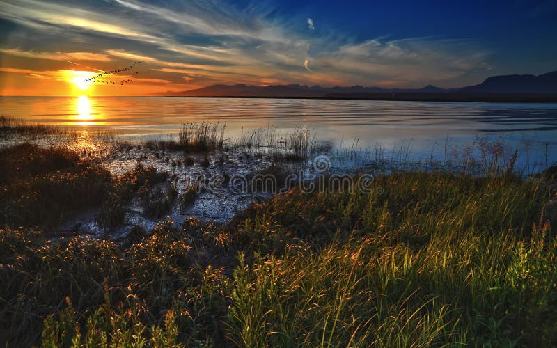 Lush Grass River Bank Sunset Stock Photo - Image of blue, migration ...