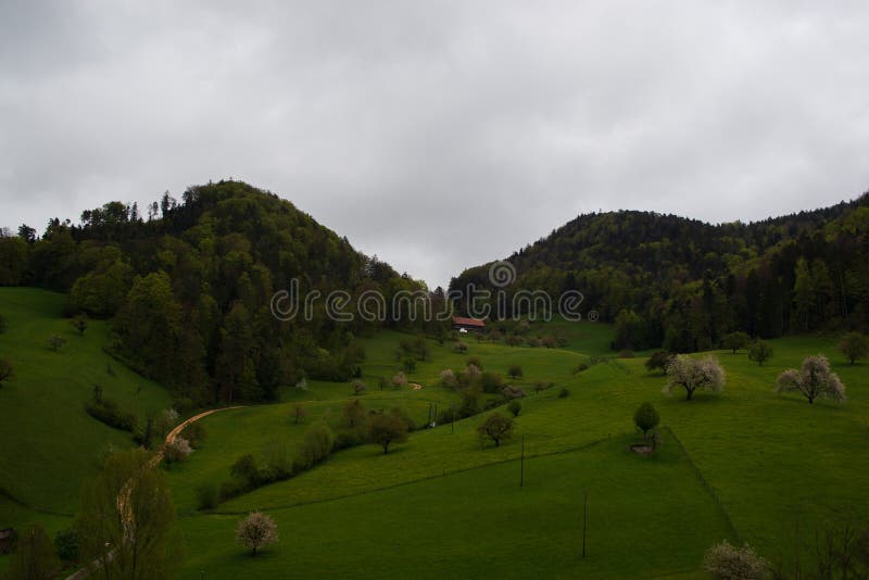 Lush Green Countryside with Farmhouse, Row of Trees Stock Photo - Image ...