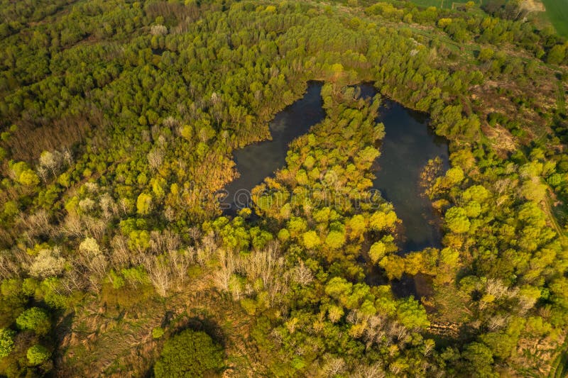 Lush Green Countryside in Poland at Spring Stock Photo - Image of hill ...