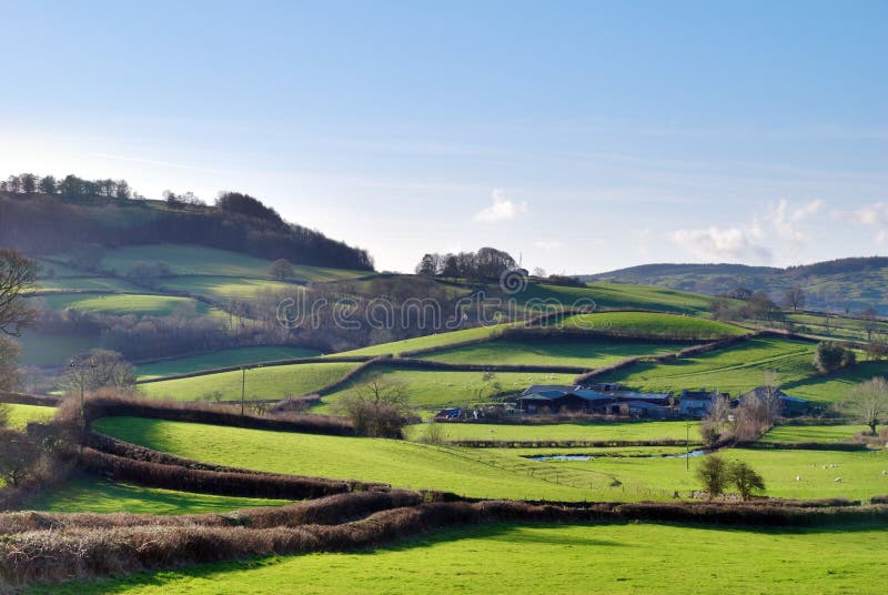Lush Green English Countryside Stock Image - Image of hedgerows ...