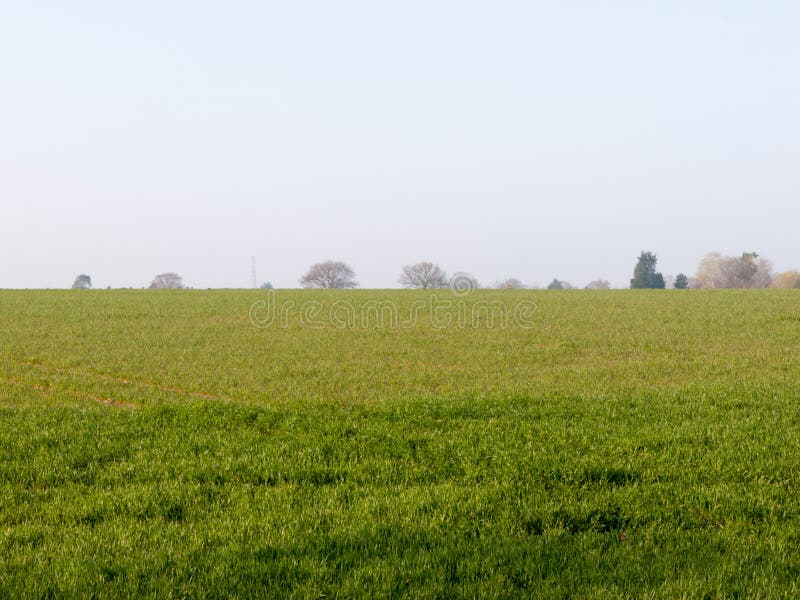 Lush Green Fields in the Height of Spring Stock Image - Image of ...