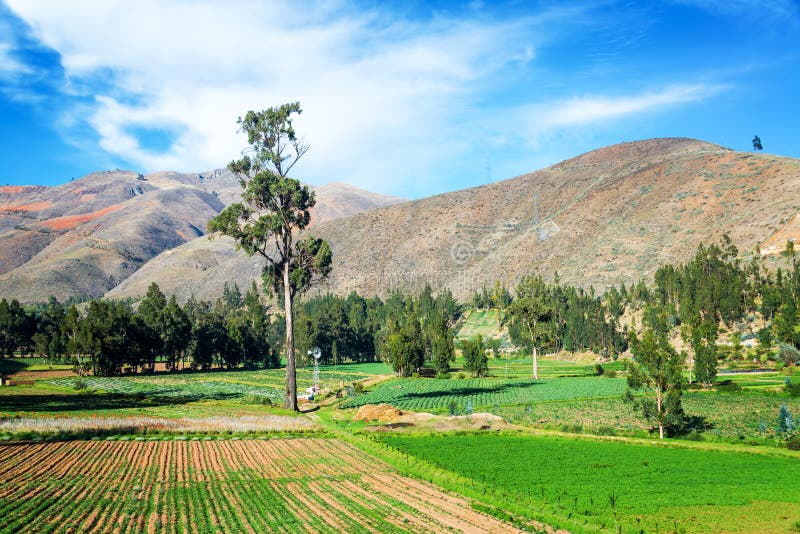 Farming Terraces in Peru stock image. Image of tourism - 53325815