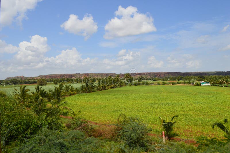 Lush green fields stock image. Image of green, soothing - 42985519