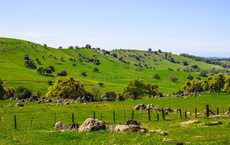 Lush Green Foothills in Sierra Nevada Stock Image - Image of field ...