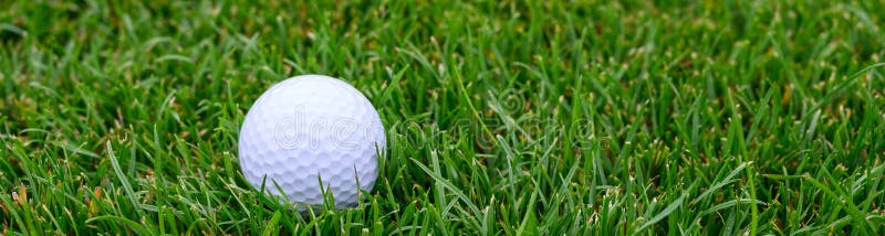 Lush Green Golf Course Grass in the Rough, with a White Golf Ball Ready ...