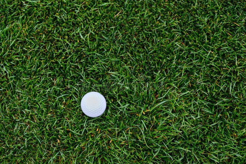 Lush Green Golf Course Grass in the Rough, with a White Golf Ball Ready ...