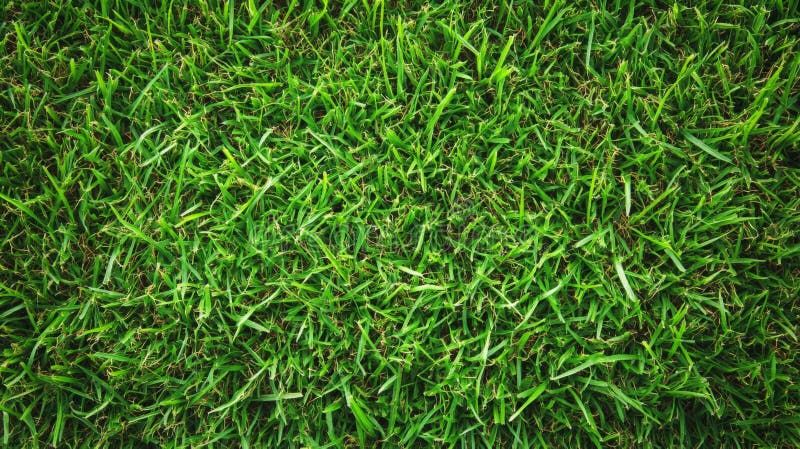 Lush Green Grass Blades Texture Background Stock Illustration ...