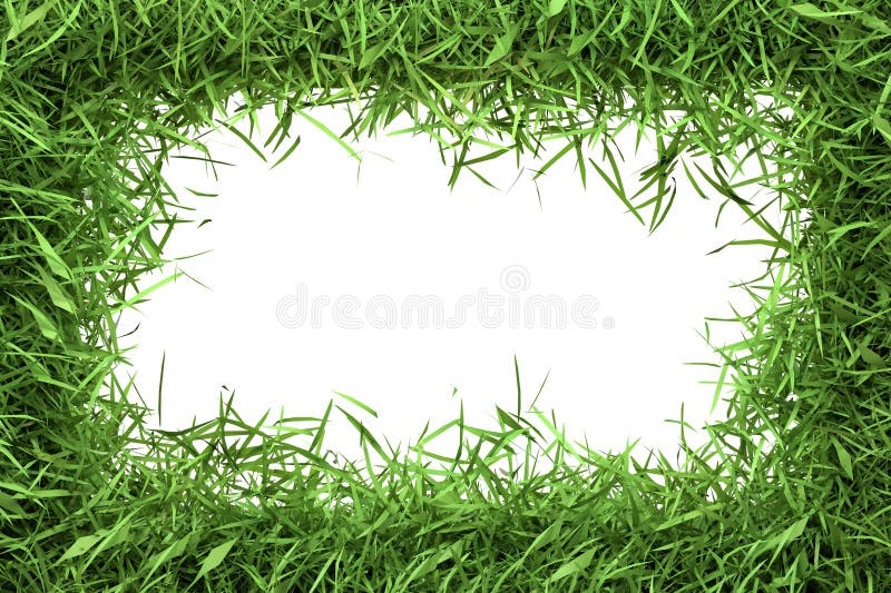 A Lush Green Grass Border Frames a Central White Space, Ideal for Eco ...