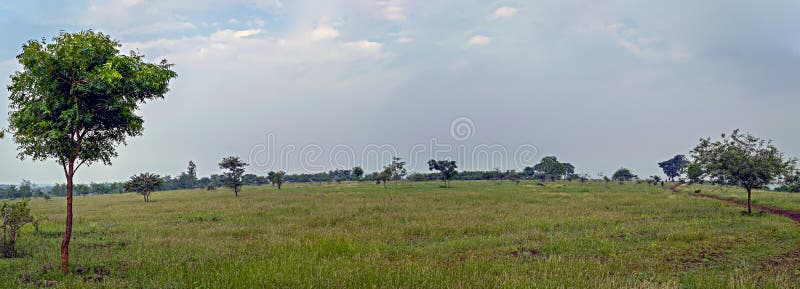 Lush Green Grass Field, Trees on Flat Land Over Hill Top Stock Image ...