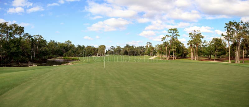 Lush Green Grass on a Golf Course with a Path for a Golf Cart Stock ...