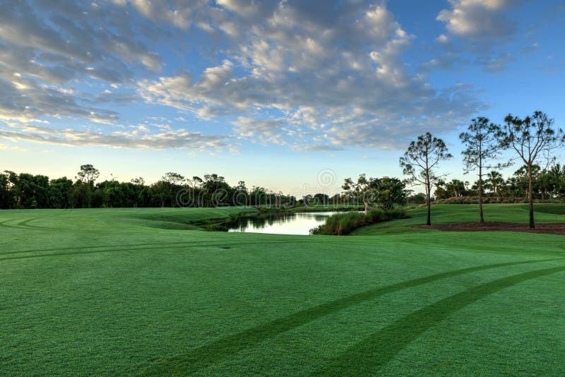 Lush Green Grass on a Golf Course with a Path for a Golf Cart Stock ...