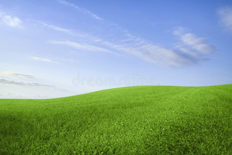 Lush Green Grass Under Bright Blue Sky with Clouds Stock Image - Image ...