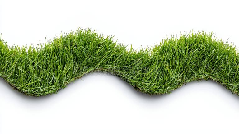 Lush Green Grass Wave Pattern on White Background for Nature and ...