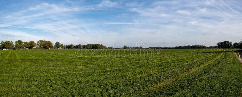 Lush, Green Grassy Field with a Cloudy Sky in the Backdrop Stock Image ...