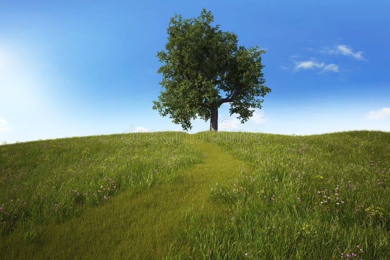 Lush Green Hill with a Huge Oak Tree on Top Stock Photo - Image of ...