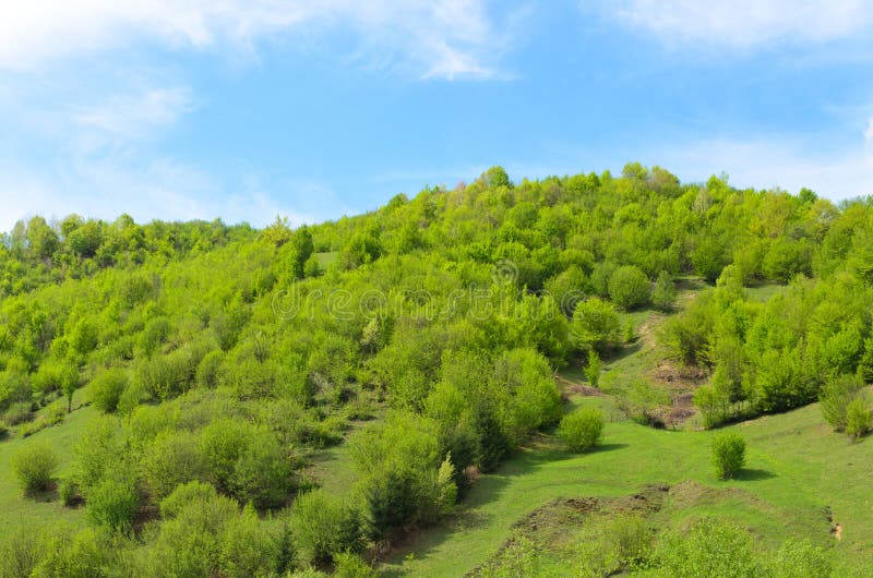 Lush green hillside stock image. Image of scenery, peaceful - 36032999