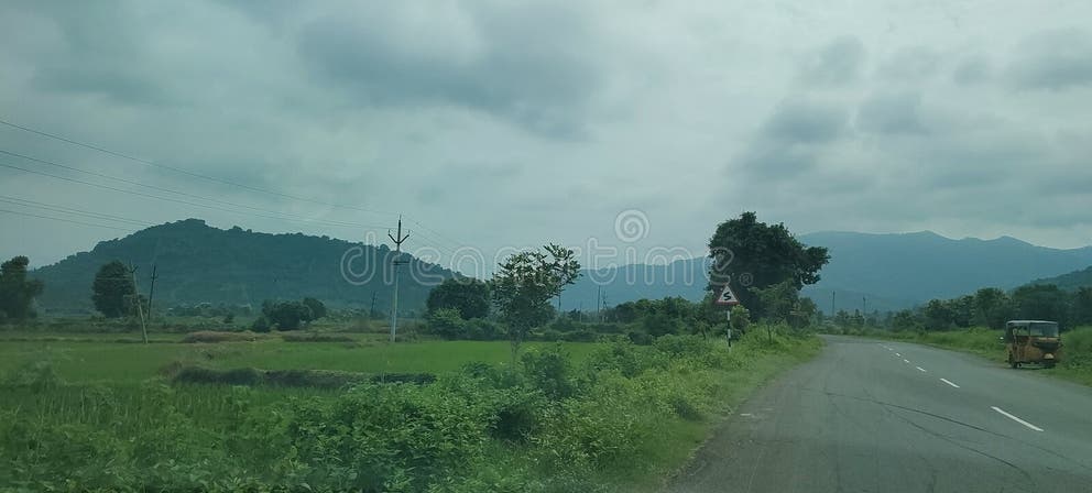 Lush Green Landscape Features Dense Trees and Verdant Fields Stock ...